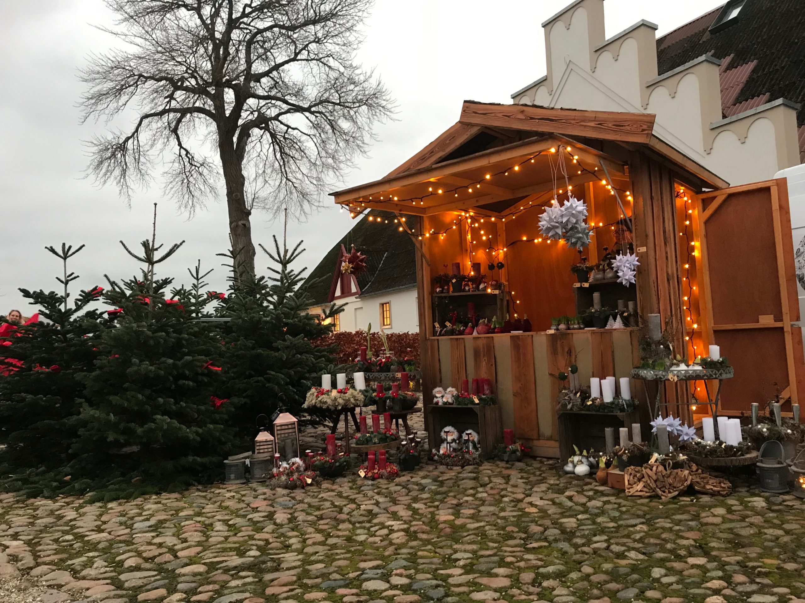 Julemarked 2024 - Boltinggaard